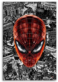 Gario Obraz na plátně Spidermanův obličej - Rubiant Rozměry: 40 x 60 cm