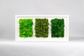 Mechový obraz | 49x22 cm | 3 zelené - bílý rám