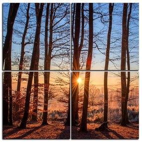 Obraz na plátně - Podzimní ráno v lese - čtverec 3251E (100x100 cm)