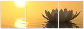 Obraz na plátně - Zen lotus - panoráma 5167C (150x50 cm)