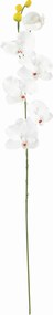 XXXLutz UMĚLÁ KVĚTINA orchidej 72 cm - Umělé květiny - 0041770763