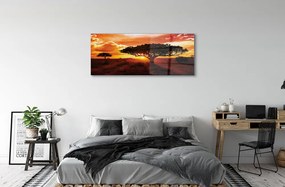 akrylový obraz Stromy mraky západ 120x60 cm