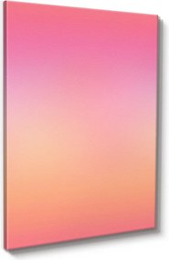 Tištěný obraz na plátně 70x100 cm Pink Aura – Styler