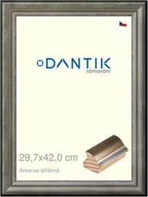 DANTIK rámeček 29,7x42 | ANIVERSA stříbrná (Plexi Čiré)