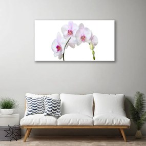 Obraz na skle Vstavač Orchidej Květiny 140x70 cm