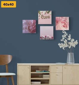 Set obrazů květiny v  jemném růžovém odstínu Varianta: 4x 60x60