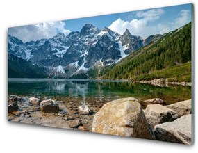 Obraz na skle Hory Les Jezero Kameny 125x50 cm