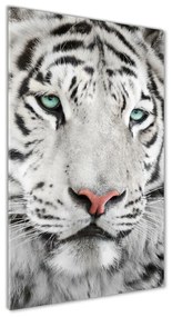 Wallmuralia Vertikální Foto-obrah sklo tvrzené Bílý tygr 50x100