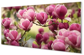 Obraz na skle květy 120x60 cm