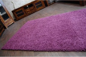 Kusový koberec SHAGGY Izebelie 5cm fialový