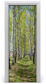 Fototapeta na dveře samolepící břízový les 95x205 cm