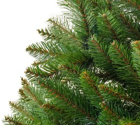 Foxigy Vánoční stromek Smrk Divoký 250cm