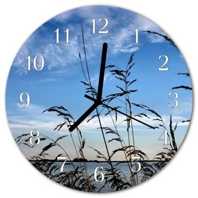 Skleněné hodiny kulaté tráva fi 30 cm