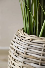 Přírodní koš na rostliny PALLA, ratan, průměr 45 cm, natur