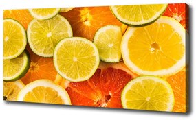 Wallmuralia Foto obraz na plátně do obýváku Citrusové ovoce 100x50