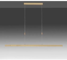 Paul Neuhaus 2568-60 - LED Stmívatelný lustr na lanku ADRIANA LED/14W/230V mosaz