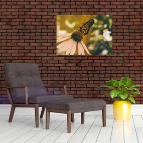 Skleněný obraz motýla na květině (70x50 cm)