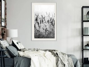 Plakát levandulové pole v černobílém odstínu - Shadow of Meadow