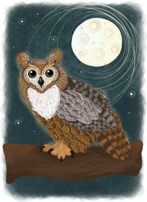 Kristýna Pýchová | Moudrá sova Rám: Černý, Velikost: 30 x 20 cm