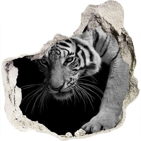 Wallmuralia Díra 3D foto tapeta nálepka Tygr 75x75 cm