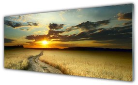 akrylový obraz Cestička Pole Krajina 125x50 cm