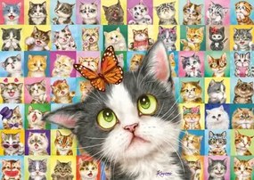 SCHMIDT Puzzle Kočičí výrazy / 1000 dílků