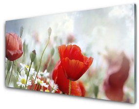 Obraz na skle Květiny Plátky Rostlina 140x70 cm