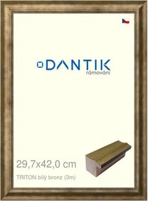 DANTIK rámeček 29,7x42 | TRITON bílý bronz (Plexi Čiré)