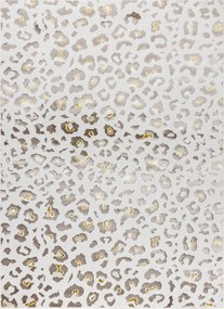 Dywany Łuszczów, Kusový koberec Bliss Z232AZ128 cream/beige, 160x220, béžová, kancelář