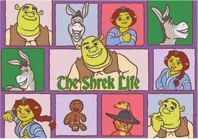 EDUCA Puzzle Shrek / 300 dílků / 40 x 28 cm