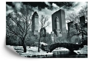 Fototapeta New York City Omyvatelný vlies 360x240