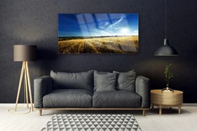 Plexisklo-obraz Pole Obilí Slunce Krajina 120x60 cm