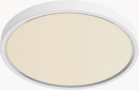 Stmívatelné stropní LED svítidlo Noxy
