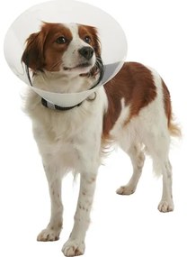 Límec Buster - clic collar sada 7 ks 7,5-40cm 273489