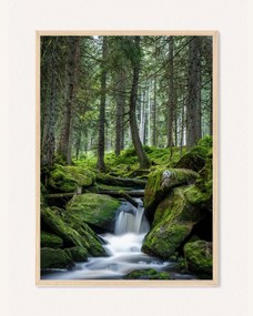 Oboustranný plakát Lesní Vodopád / Lesní Lávka | 30 x 42 cm | DP351321