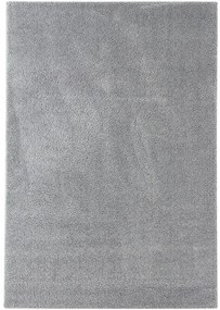 Koberce Breno Kusový koberec DOLCE VITA 01/SSS, Šedá, 120 x 170 cm