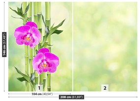 Fototapeta Orchidej a bambus 104x70