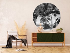 Samolepící vliesová fototapeta na zed' Tropická Nostalgie | 140 x 140 cm | DCR3309