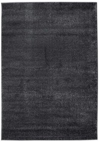 Kusový koberec LORAS Anthracite 120x170 cm