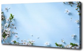 Wallmuralia Foto obraz na plátně Květy višně pozadí 100x50