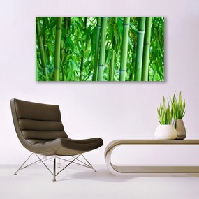akrylový obraz Bambus Stonek Rostlina 120x60 cm