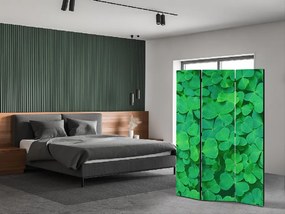 Liox Paraván zelený trojlístek Rozměr: 135 x 180 cm