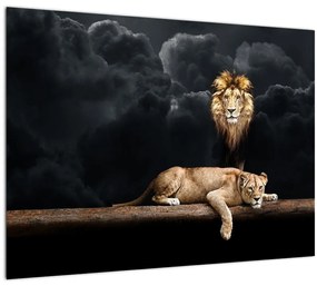 Skleněný obraz - Lev a lvice v oblacích (70x50 cm)