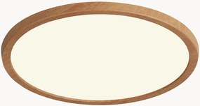 Stmívatelné stropní LED svítidlo Oja
