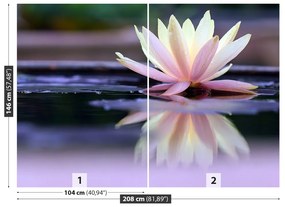 Fototapeta lotus 104x70