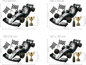 Stříbrnočerná formule F1 sportovní samolepky na zeď arch 100 x 72 cm