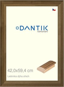 DANTIK rámeček 42x59,4 | LEDVINKA dýha ořech (Plexi Čiré)