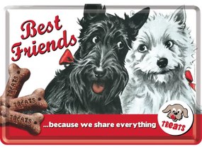 Postershop Plechová pohlednice - Best Friends