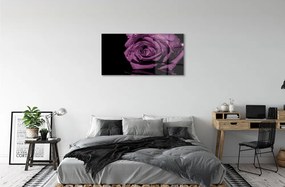 akrylový obraz Purpurová růže 100x50 cm