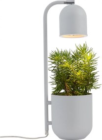 Stolní lampa Botanica šedá